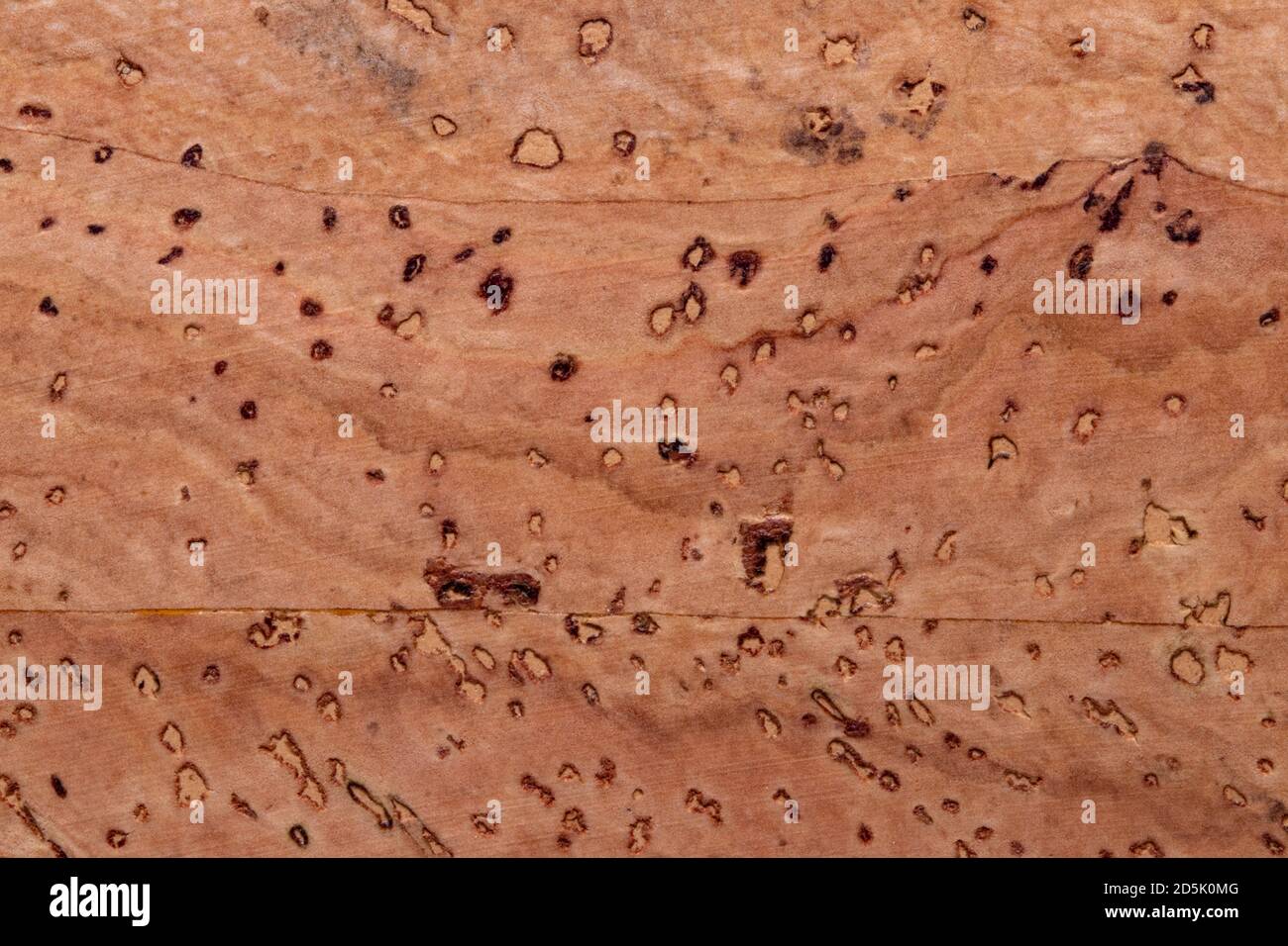 Cork background texture. Closeup of detail from natural oak cork ...