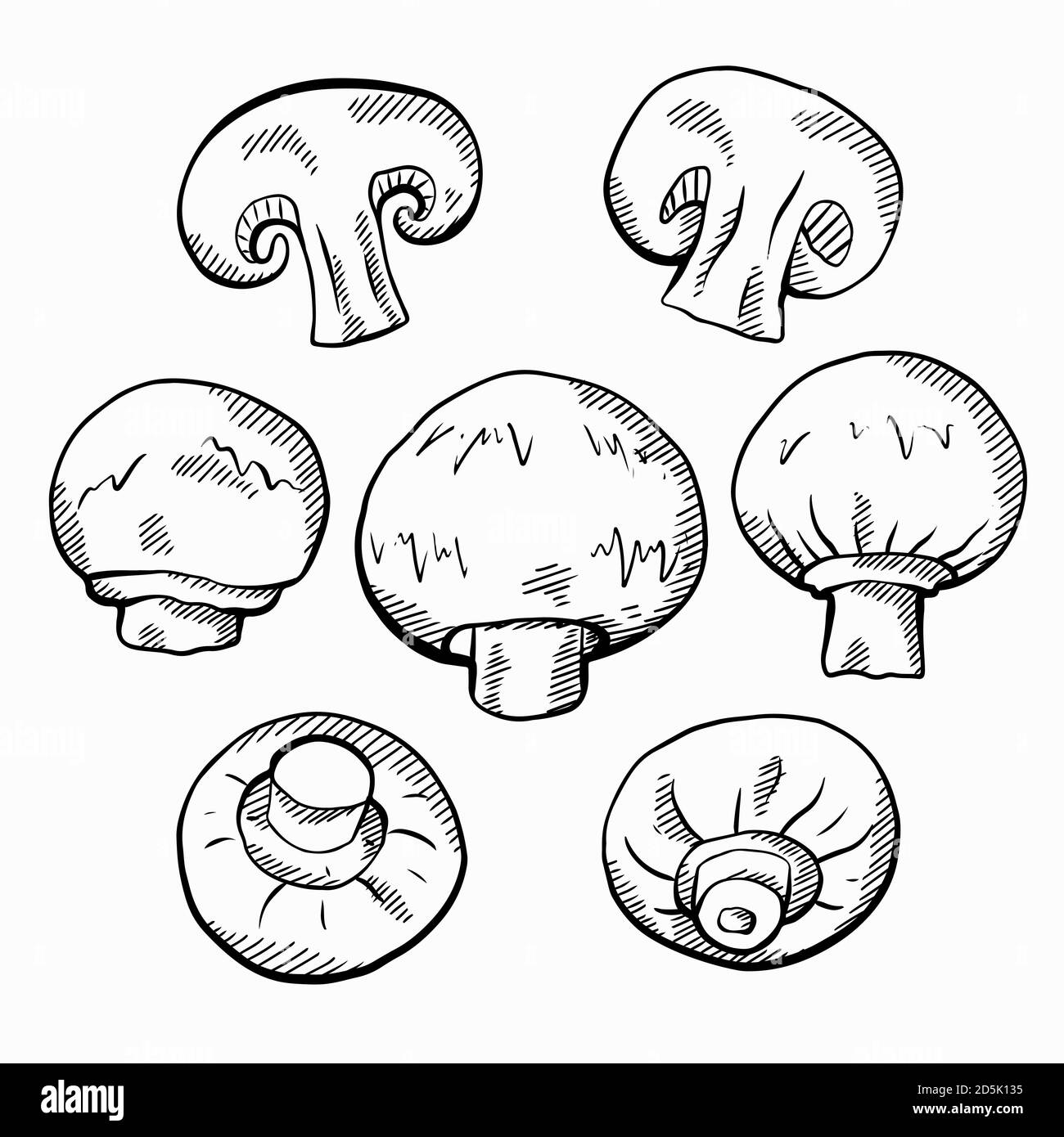 Set of sketch hand drawn illustration of champignon mushrooms with a ...