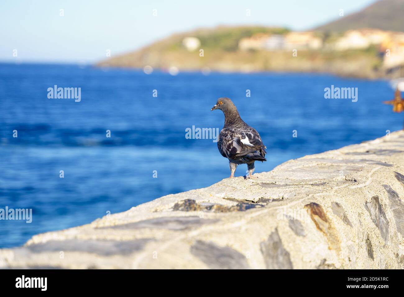 Dove marina hi-res stock photography and images - Alamy