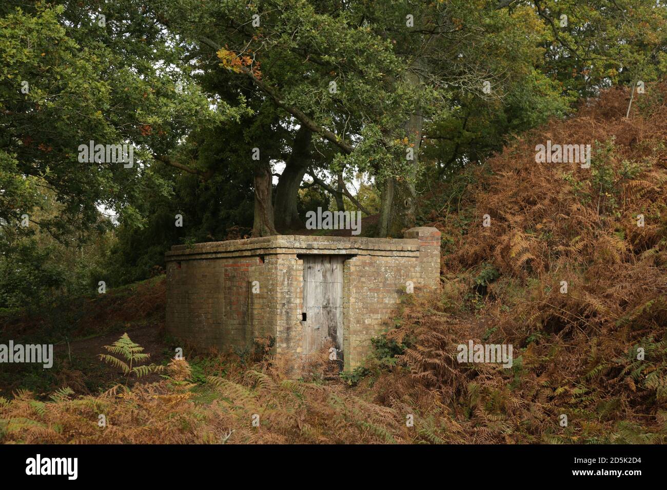 WW2 Home guard shelter on Kinver edge, Staffordshire, England, UK Stock ...