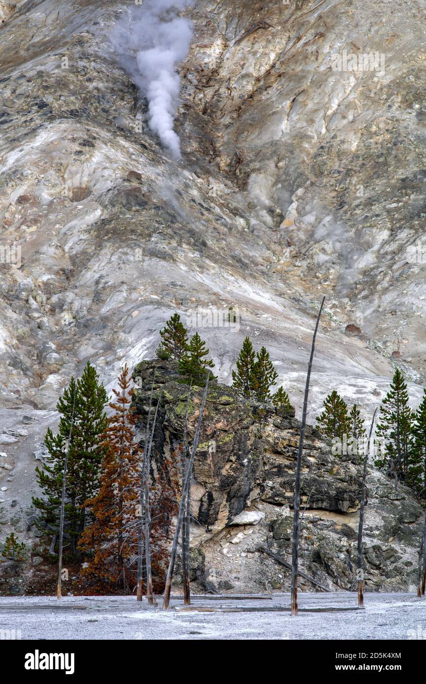 Fumaroles at Roaring Mountain, Yellowstone National Park, Wyoming, USA ...
