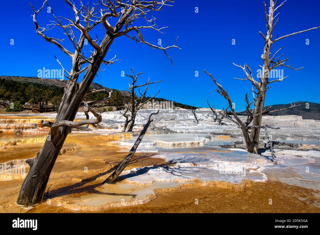 Yellowstone geothermal area hi-res stock photography and images - Alamy