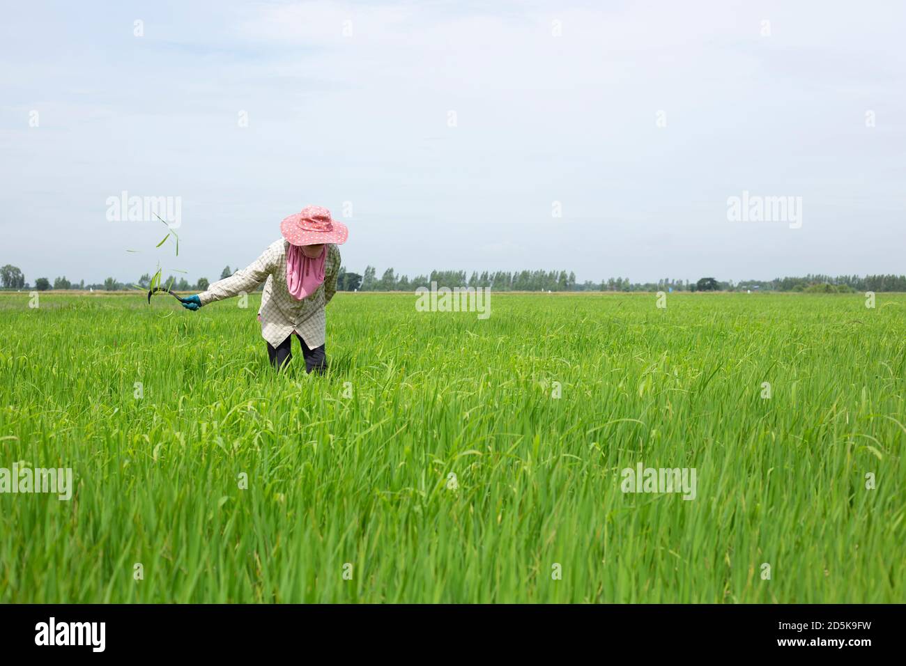 Open farmer field hi-res stock photography and images - Alamy