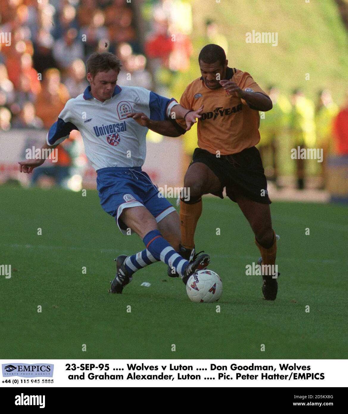 Don goodman wolves hi-res stock photography and images - Alamy