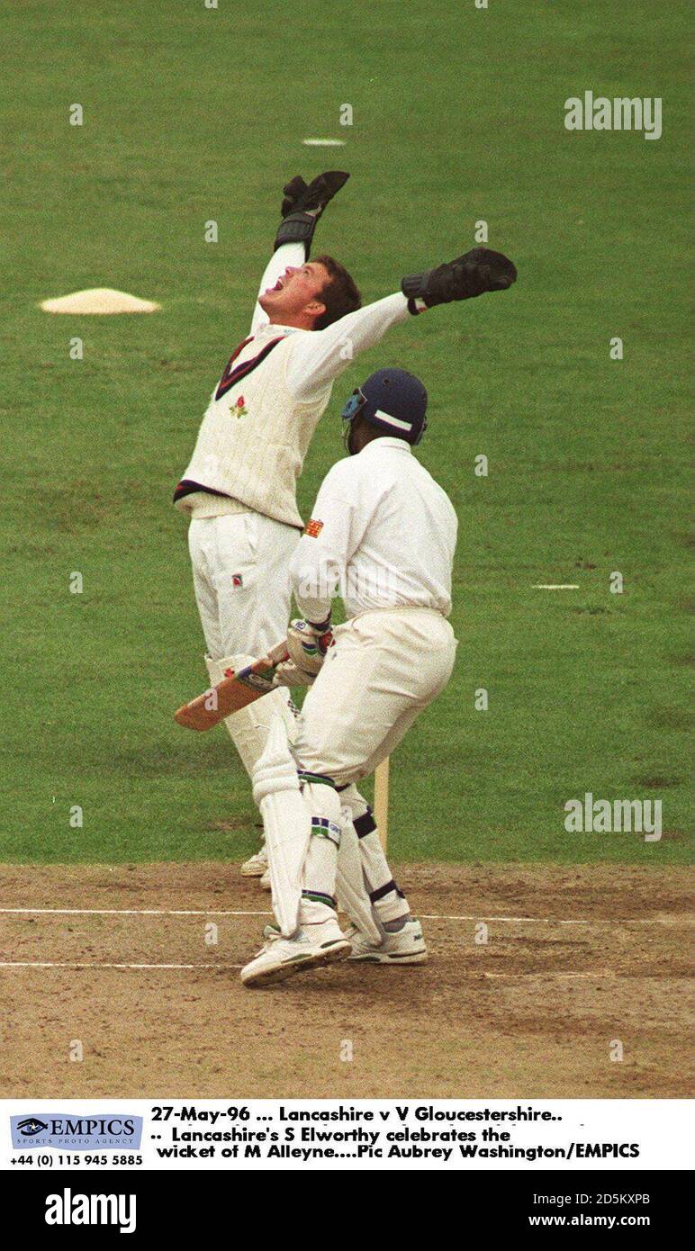 Wicketkeeper warren hegg celebrates hi-res stock photography and images ...