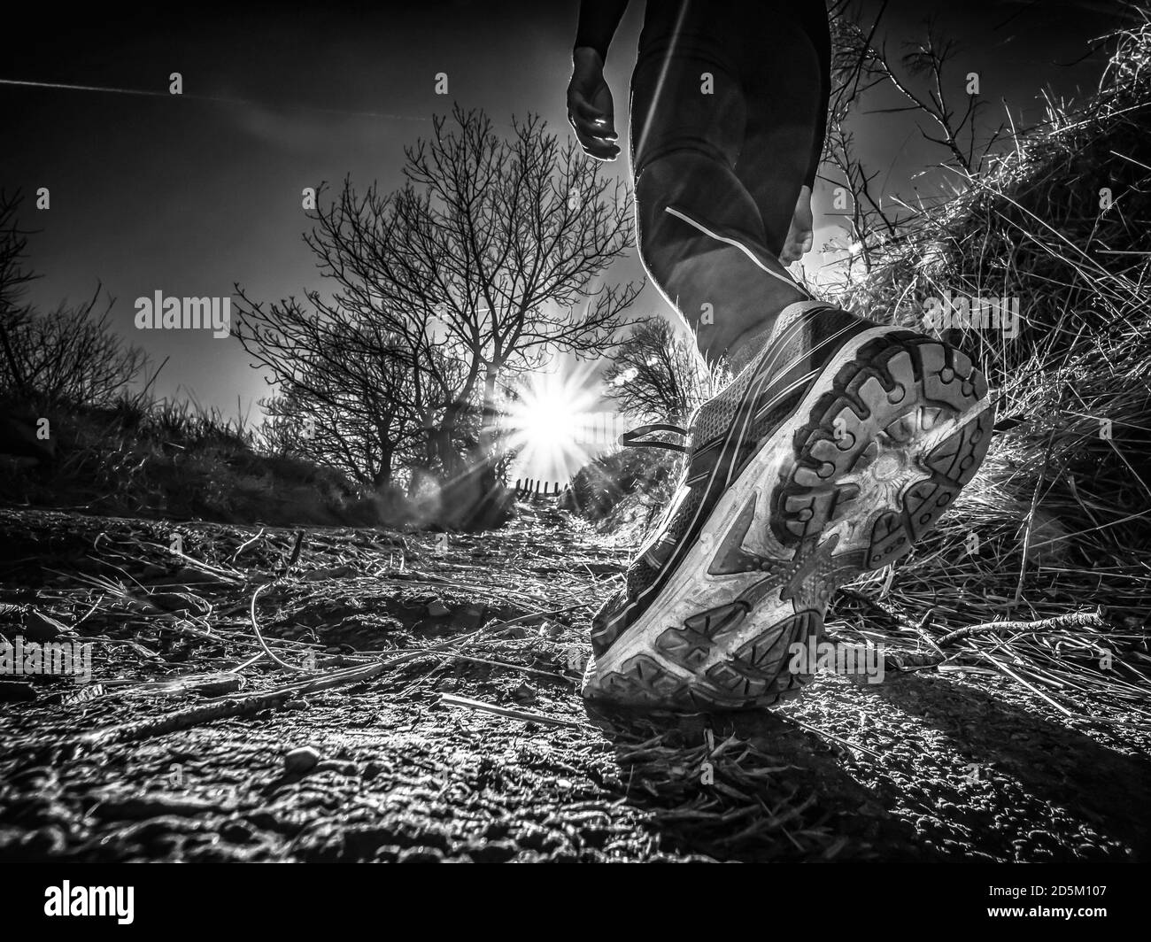 Team run fast Black and White Stock Photos & Images - Alamy