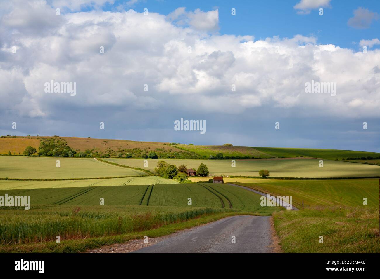 English farmhouse surrounded by crop fields with the sun shining in the ...