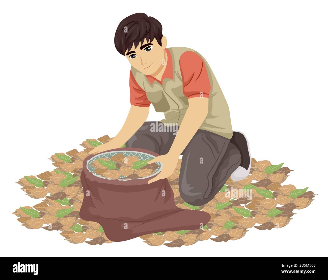 Illustration of a Teenage Guy Entomology Student Sifting Leaf Litter ...