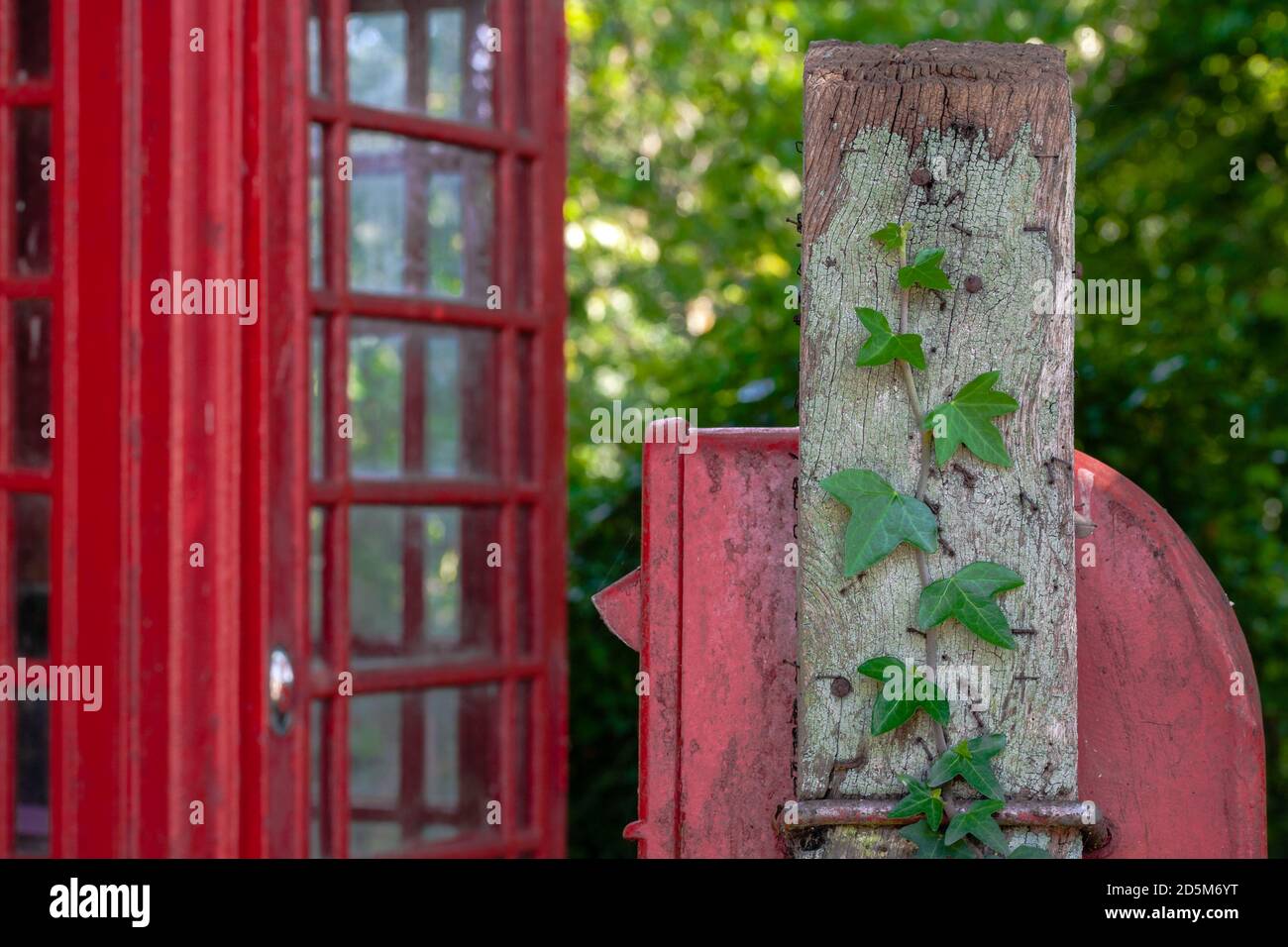 Weathered English post box on ivy covered post in a small village in ...