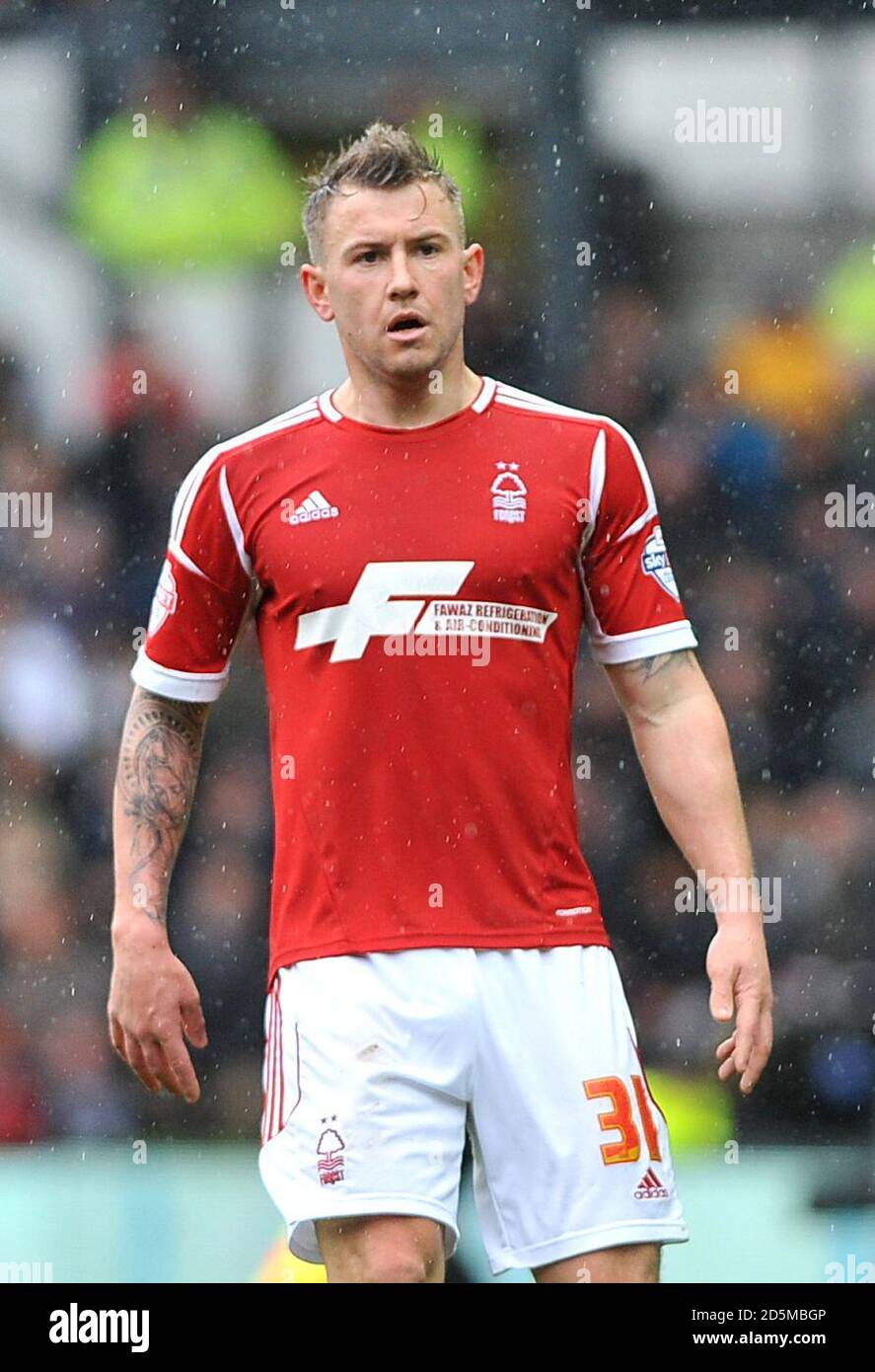 Nottingham Forest's Simon Cox Stock Photo - Alamy
