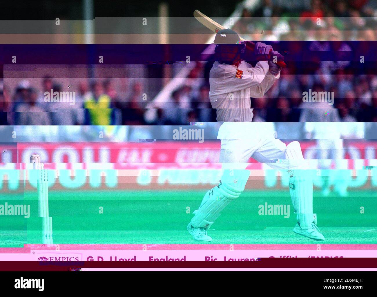 Cricket lloyd hi-res stock photography and images - Alamy