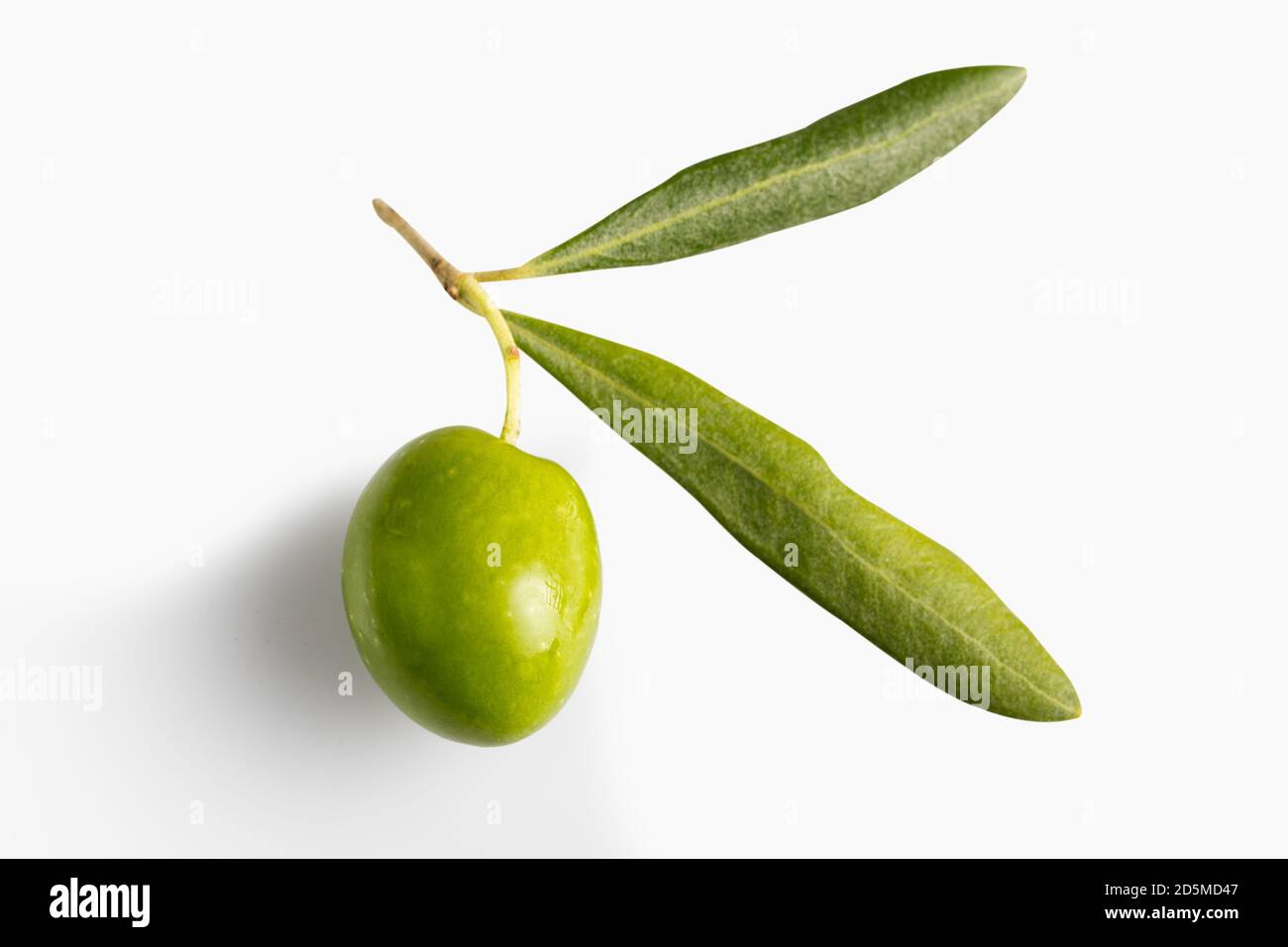 Olive tree cut out hi-res stock photography and images - Alamy