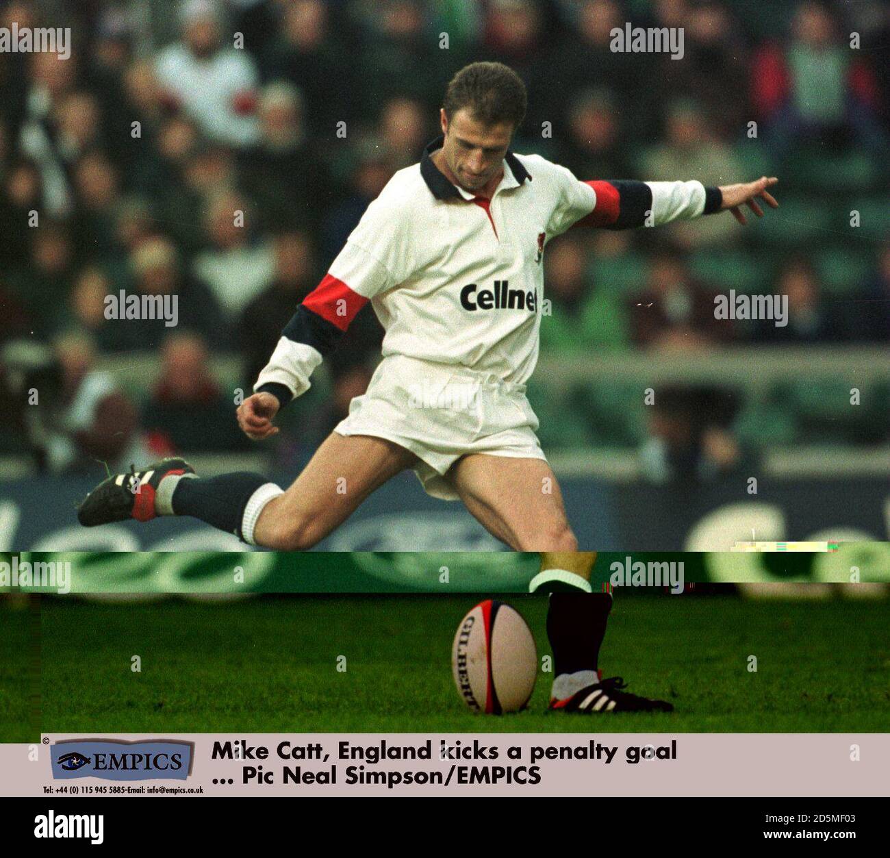 Rugby england catt hi-res stock photography and images - Alamy