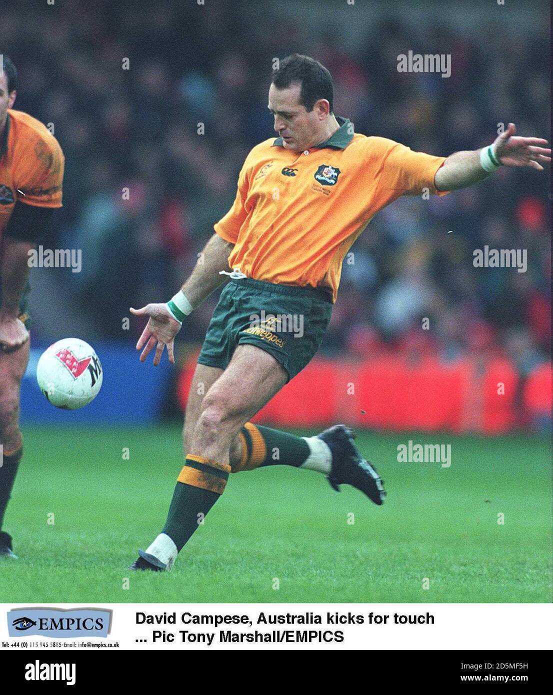 David Campese, Australia kicks for touch Stock Photo - Alamy