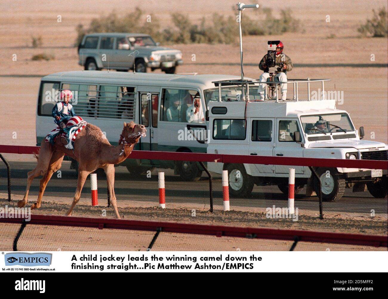 A child jockey leads the winning camel down the finishing straight ...