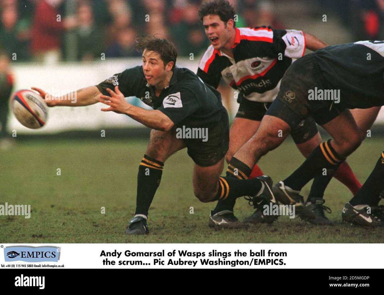 Andy Gomarsall of Wasps slings the ball from the scrum Stock Photo - Alamy
