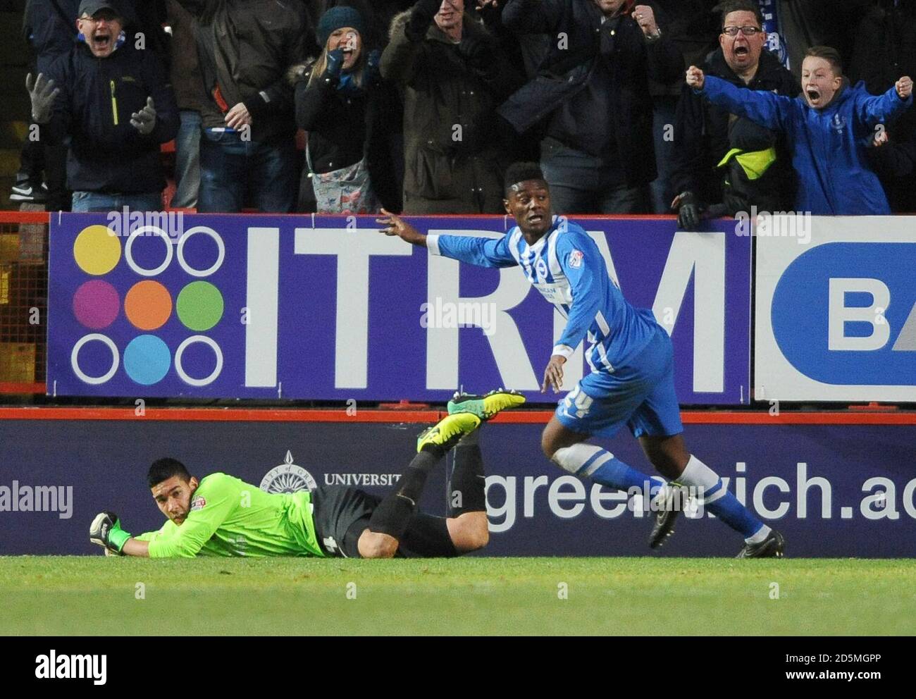 Brighton and Hove Albion's Rohan Ince celebrates scoring his side's ...