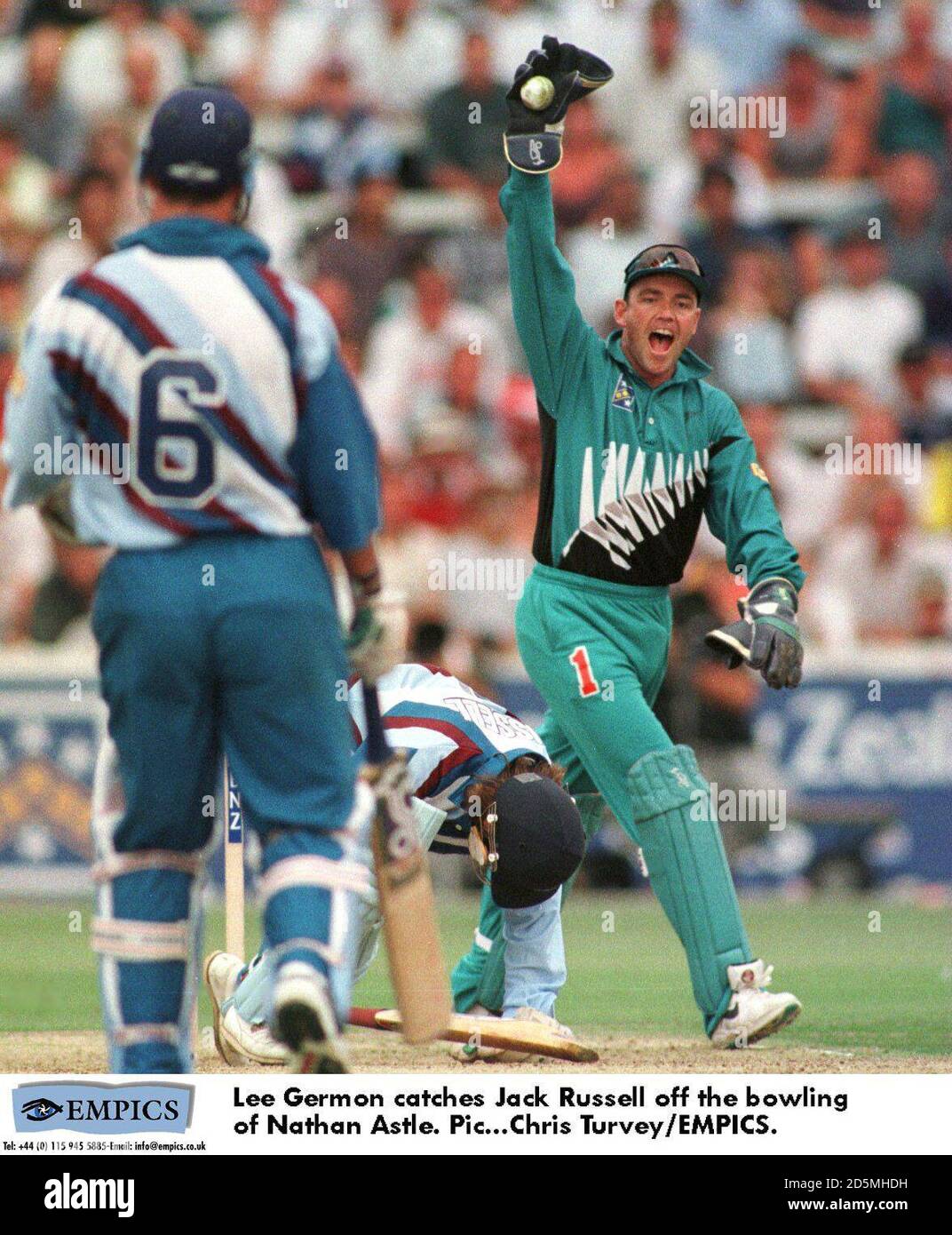 Jack russell cricket hi-res stock photography and images - Alamy