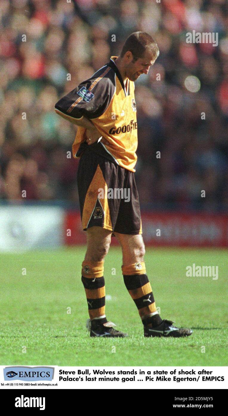 Steve Bull, Wolves stands in a state of shock after Palace's last ...
