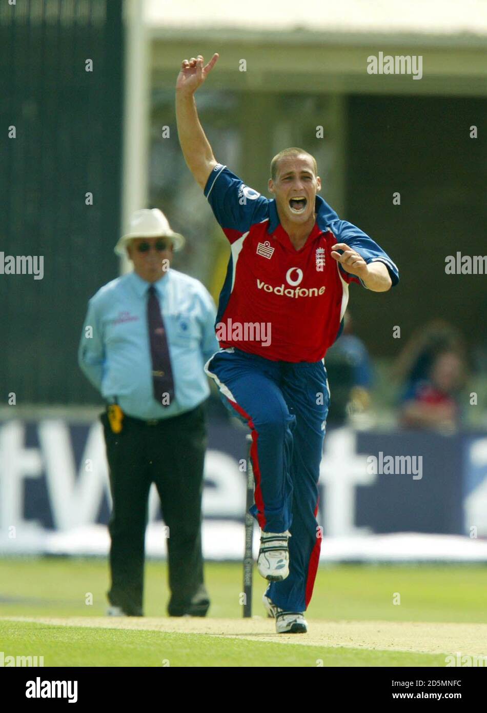 England's Simon Jones celebrates the wicket of Australia's Adam ...