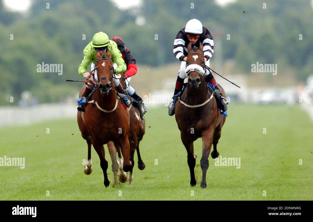 Football tns man utd horse hi-res stock photography and images - Alamy