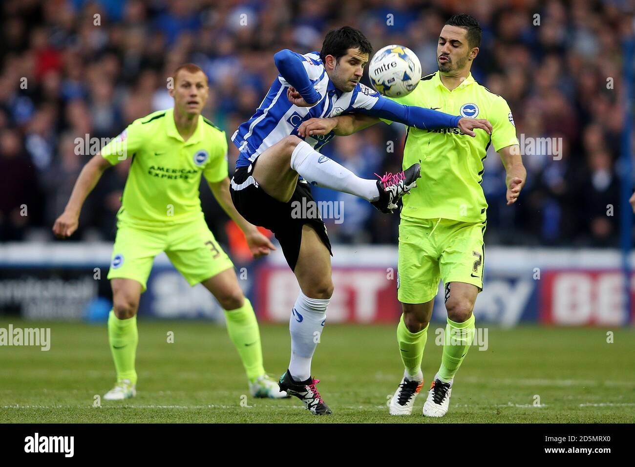 Sheffield Wednesday's Alex Lopez and Brighton's Beram Kayal Stock Photo ...