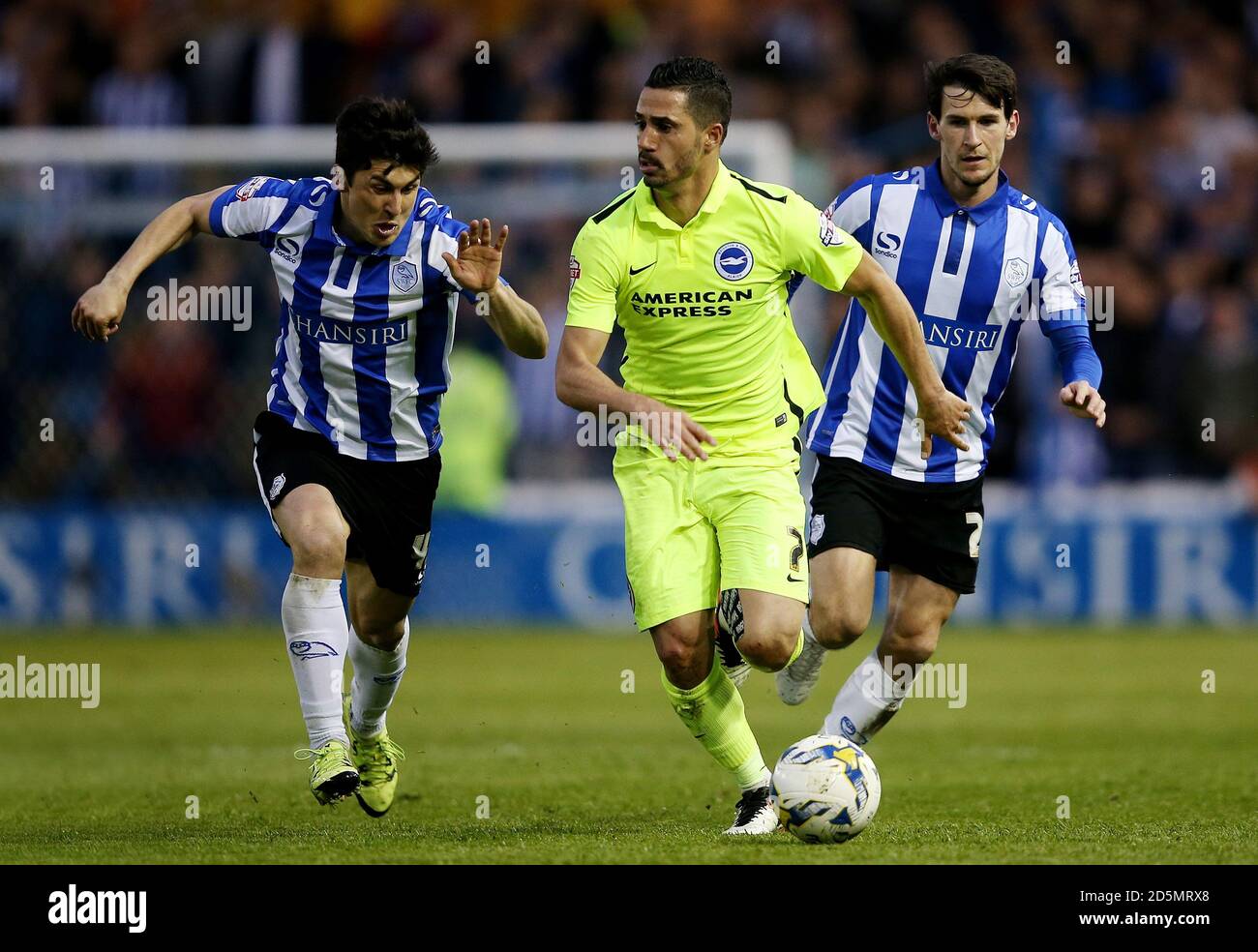 Sheffield Wednesday's Fernando Forestieri and Brighton's Beram Kayal ...