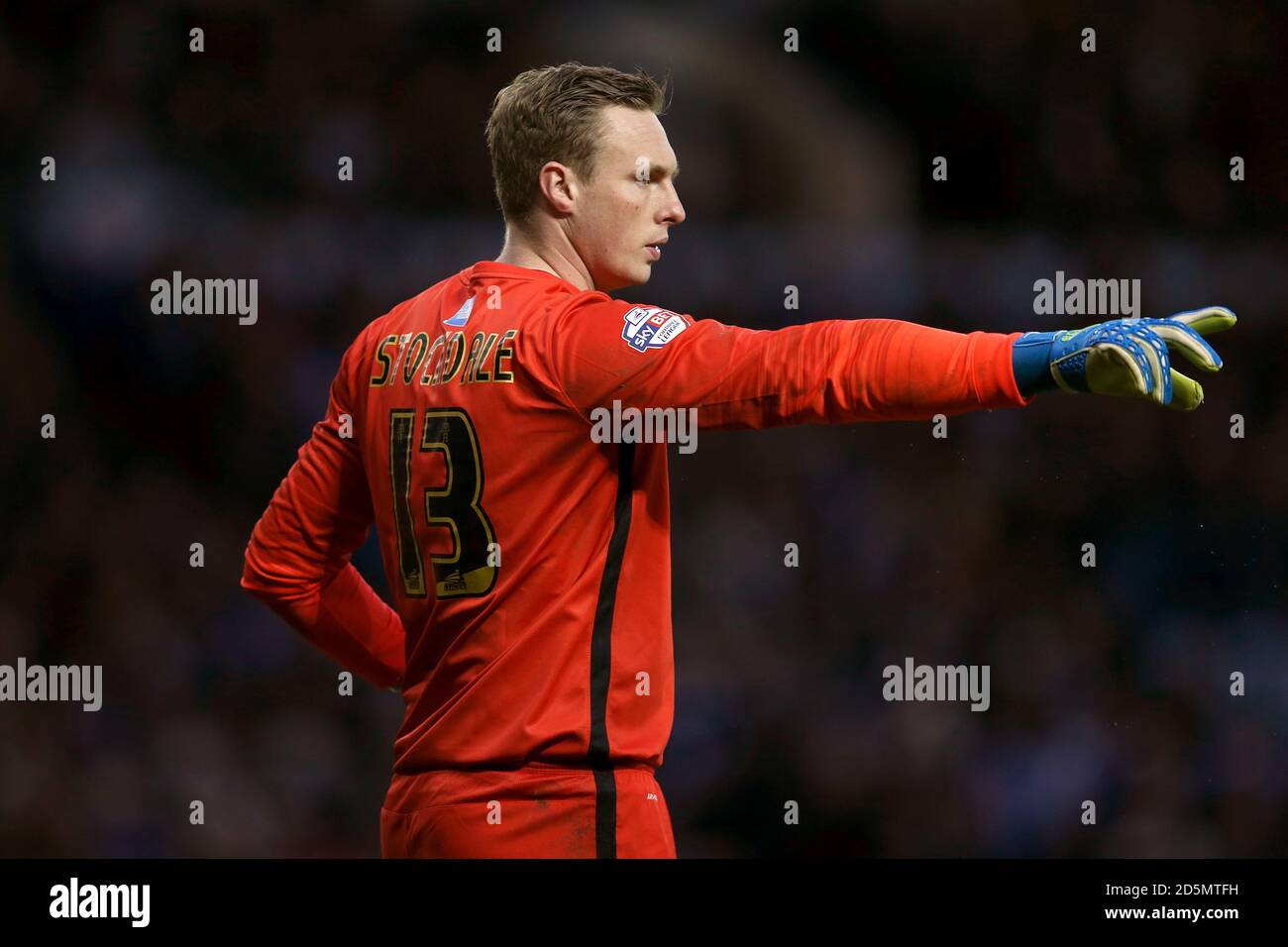 Brighton's David Stockdale Stock Photo - Alamy