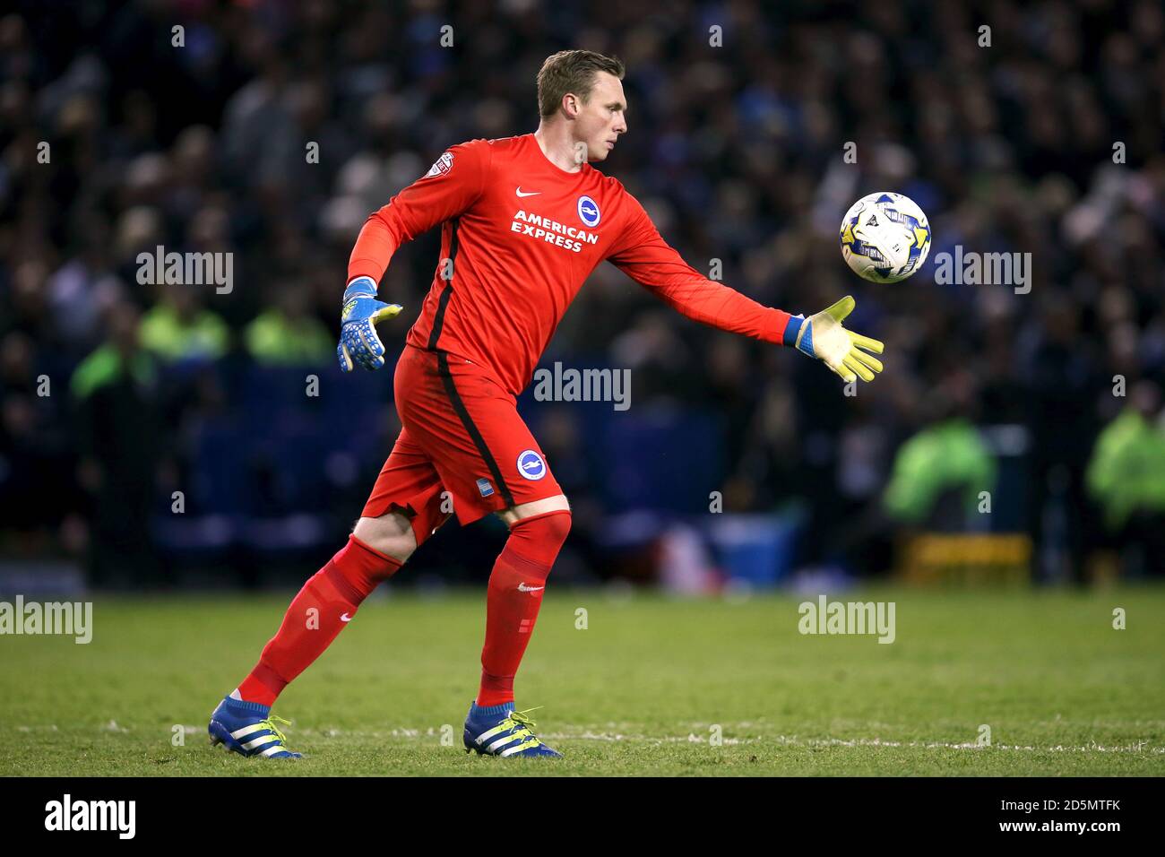 Brighton's David Stockdale Stock Photo - Alamy