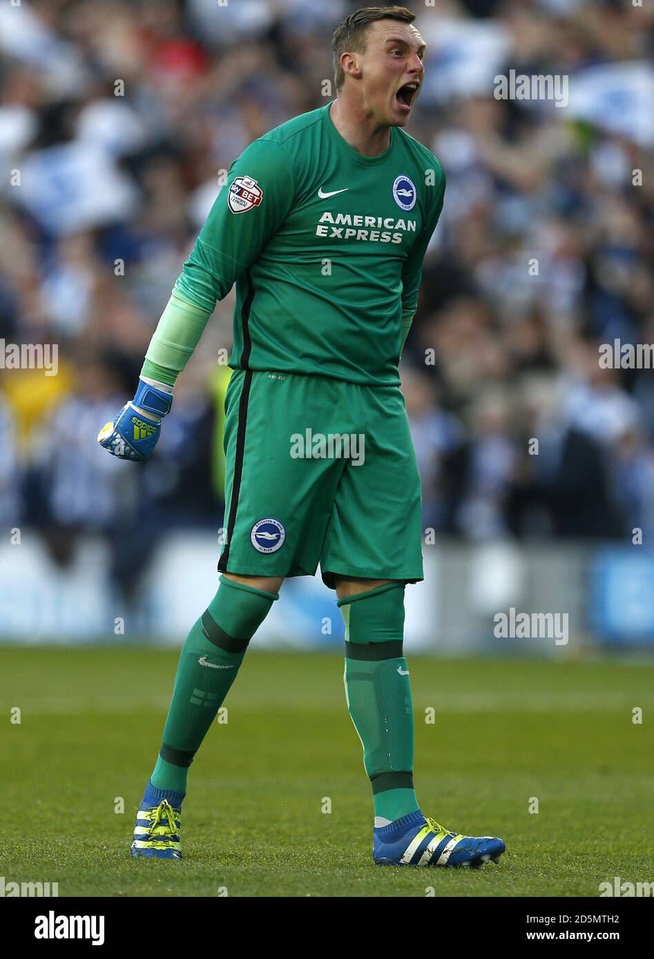 Brighton and Hove Albion goalkeeper David Stockdale celebrates after ...