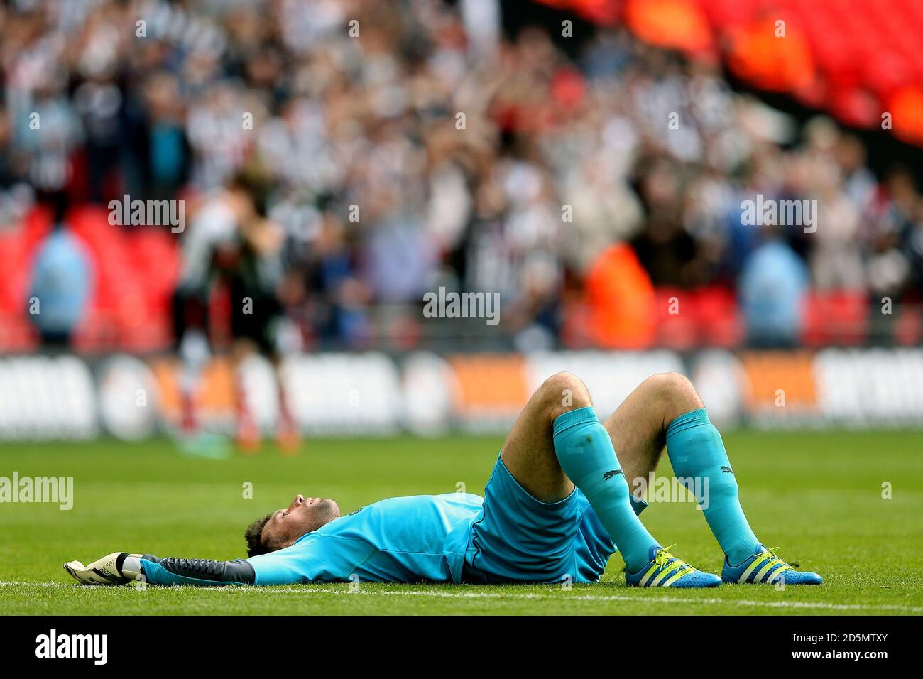 Steve arnold hi-res stock photography and images - Alamy