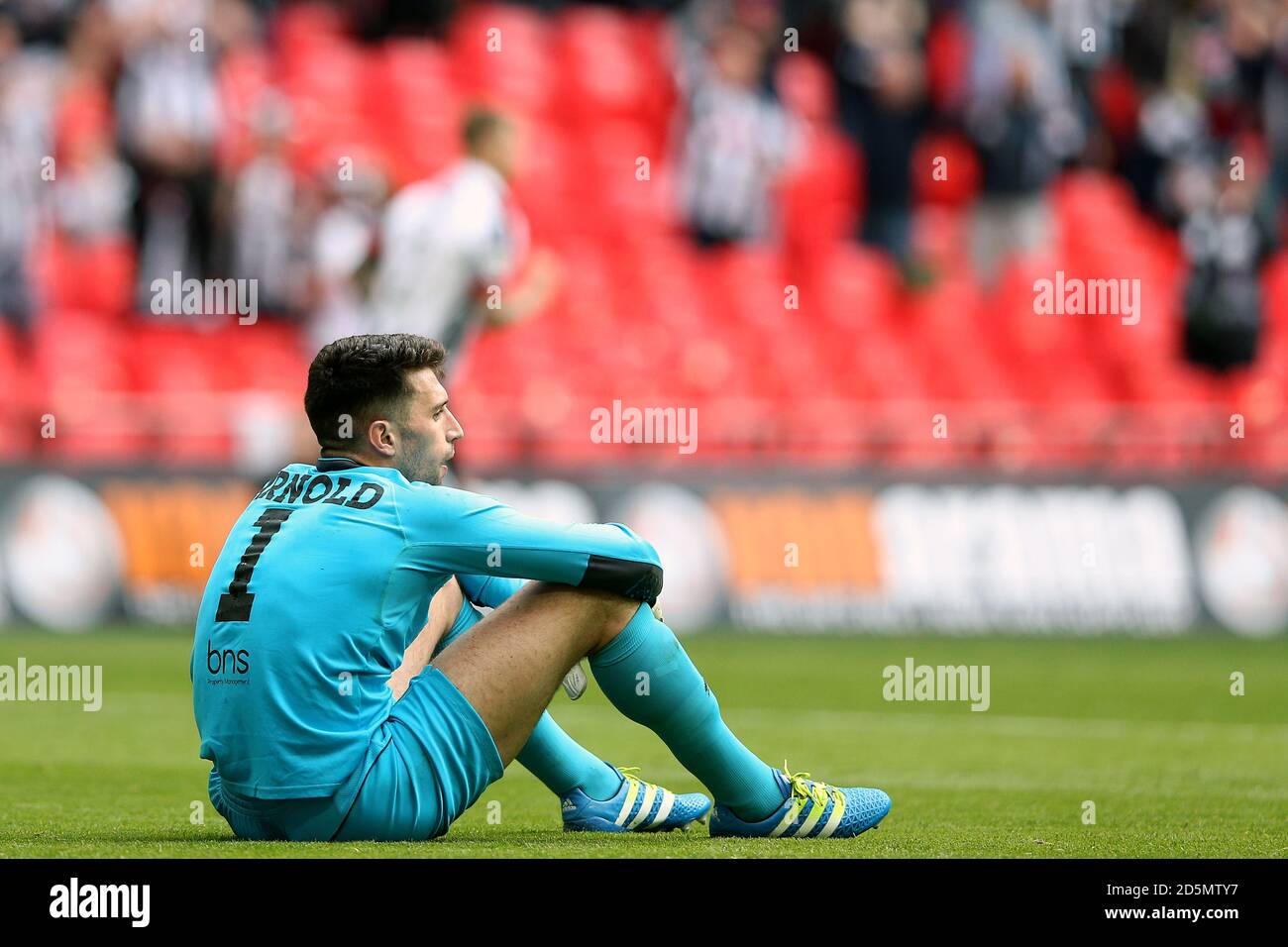 Steve arnold hi-res stock photography and images - Alamy