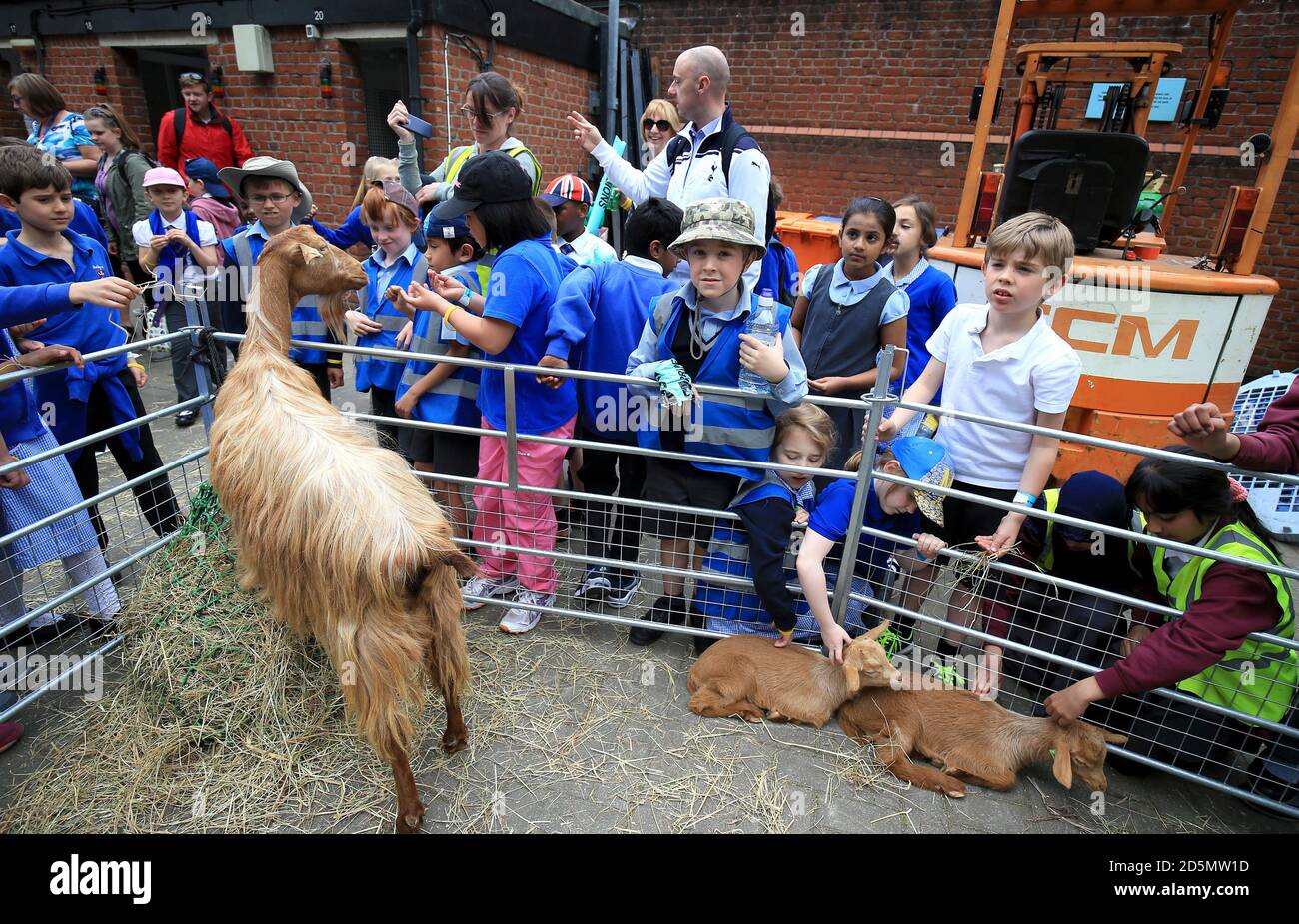 Children meet some farmyard animals for schools day before the game ...