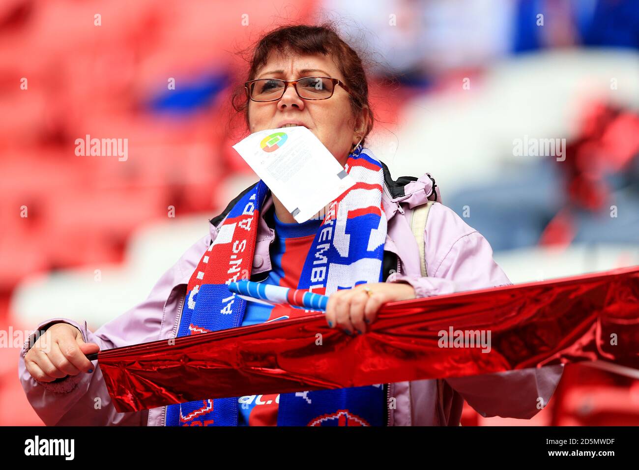 Crystal palace fans in stands hi-res stock photography and images - Alamy