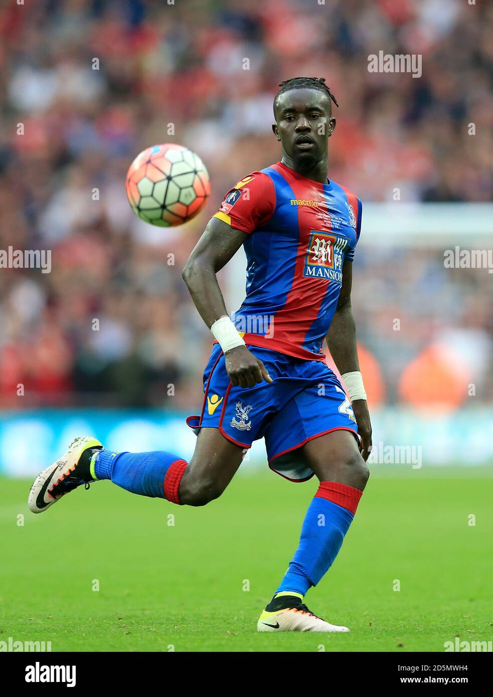 Souare pape hi-res stock photography and images - Alamy