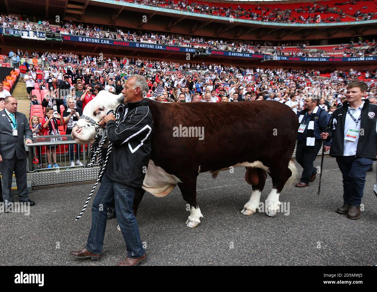 Soccer football funny funnies hi-res stock photography and images - Alamy