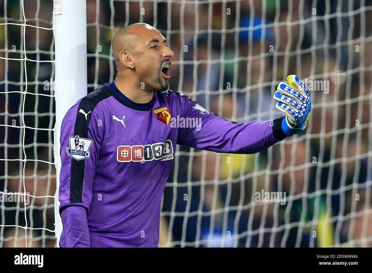 Norwich City's Heurelho Gomes Stock Photo - Alamy