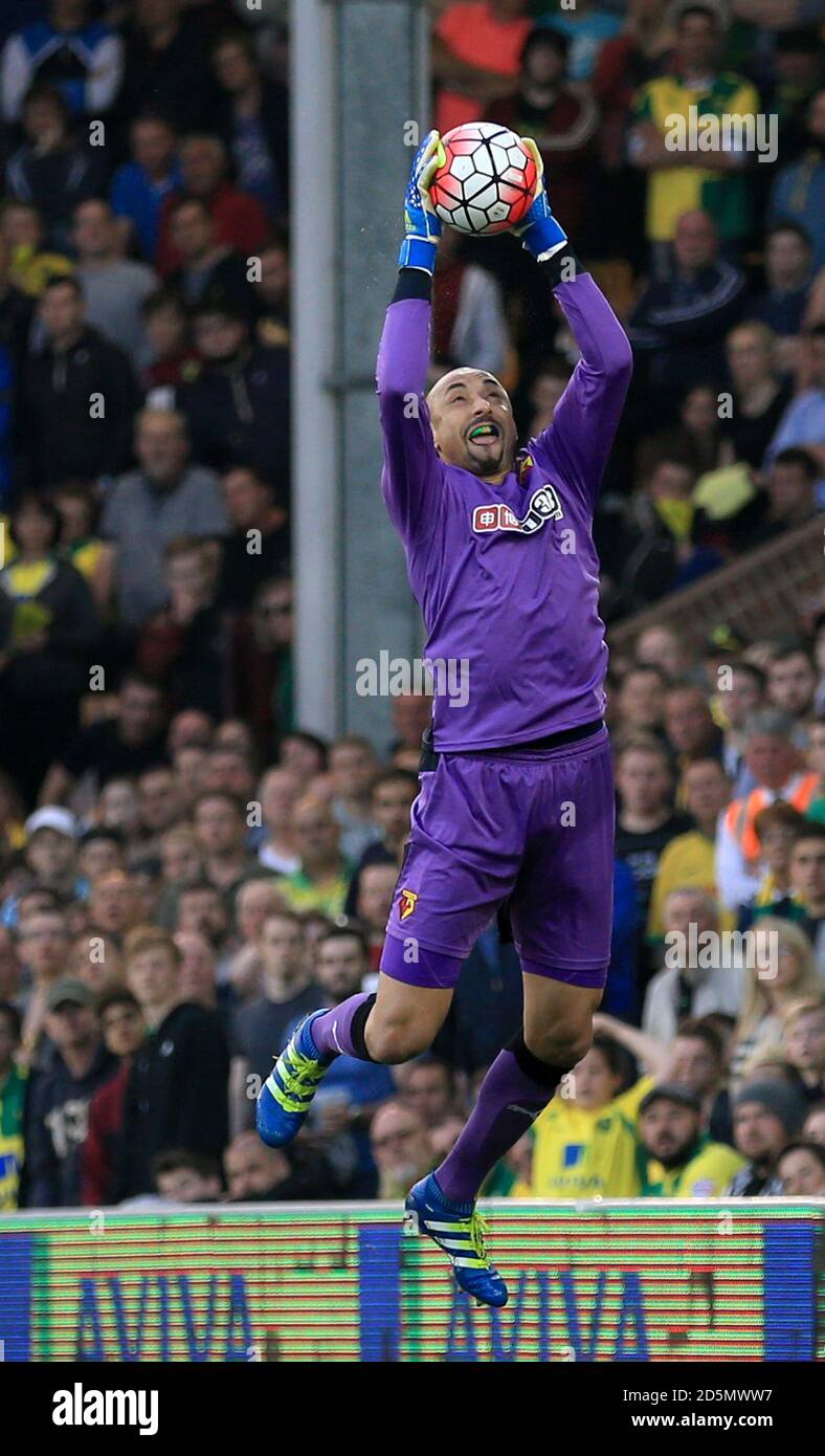 Norwich City's Heurelho Gomes Stock Photo - Alamy