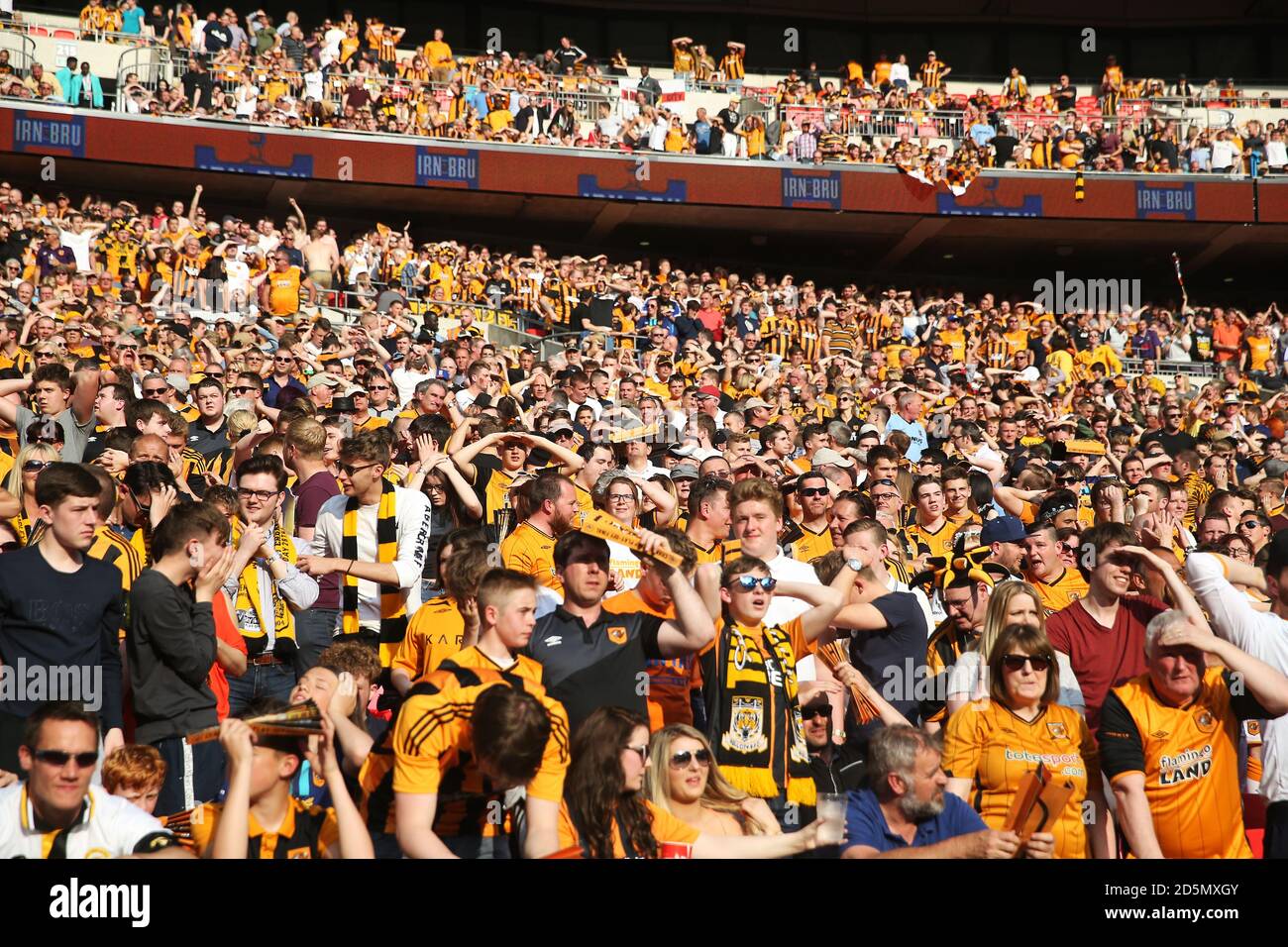 Hull City fans in the stands Stock Photo - Alamy