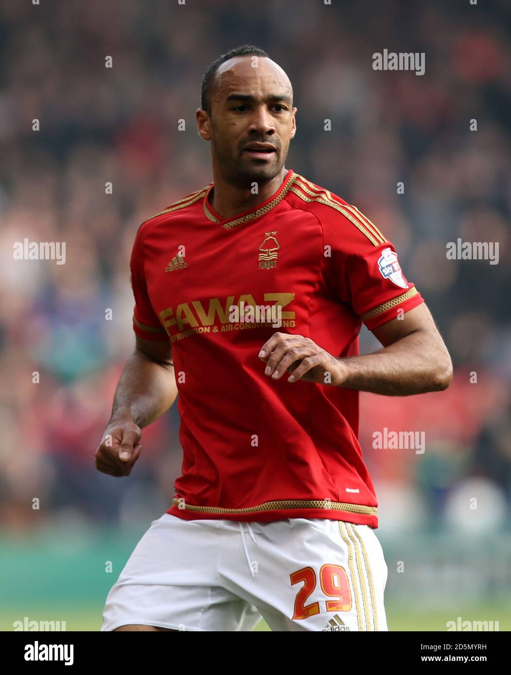 Chris O'Grady, Nottingham Forest Stock Photo - Alamy
