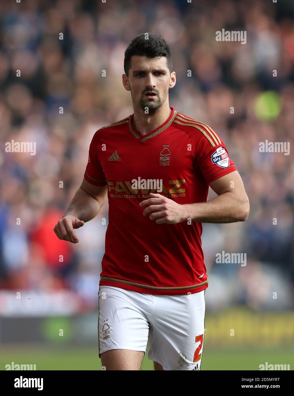 Eric Lichaj, Nottingham Forest Stock Photo - Alamy