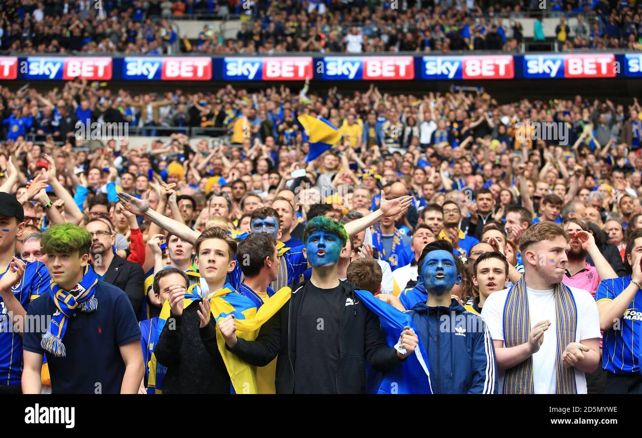 AFC Wimbledon fans show their support in the stands Stock Photo - Alamy