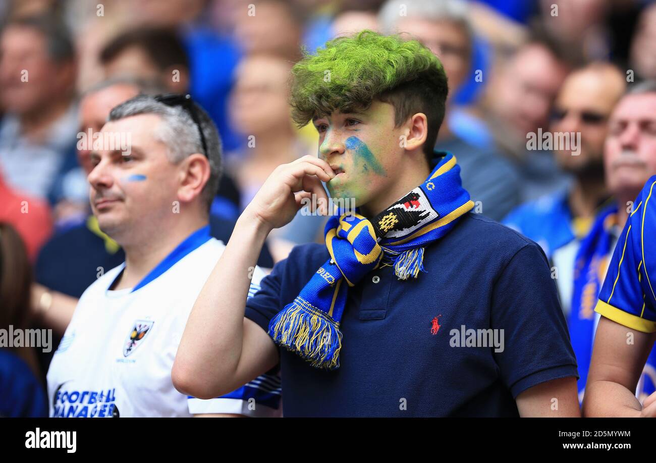 AFC Wimbledon fans in the stands Stock Photo - Alamy