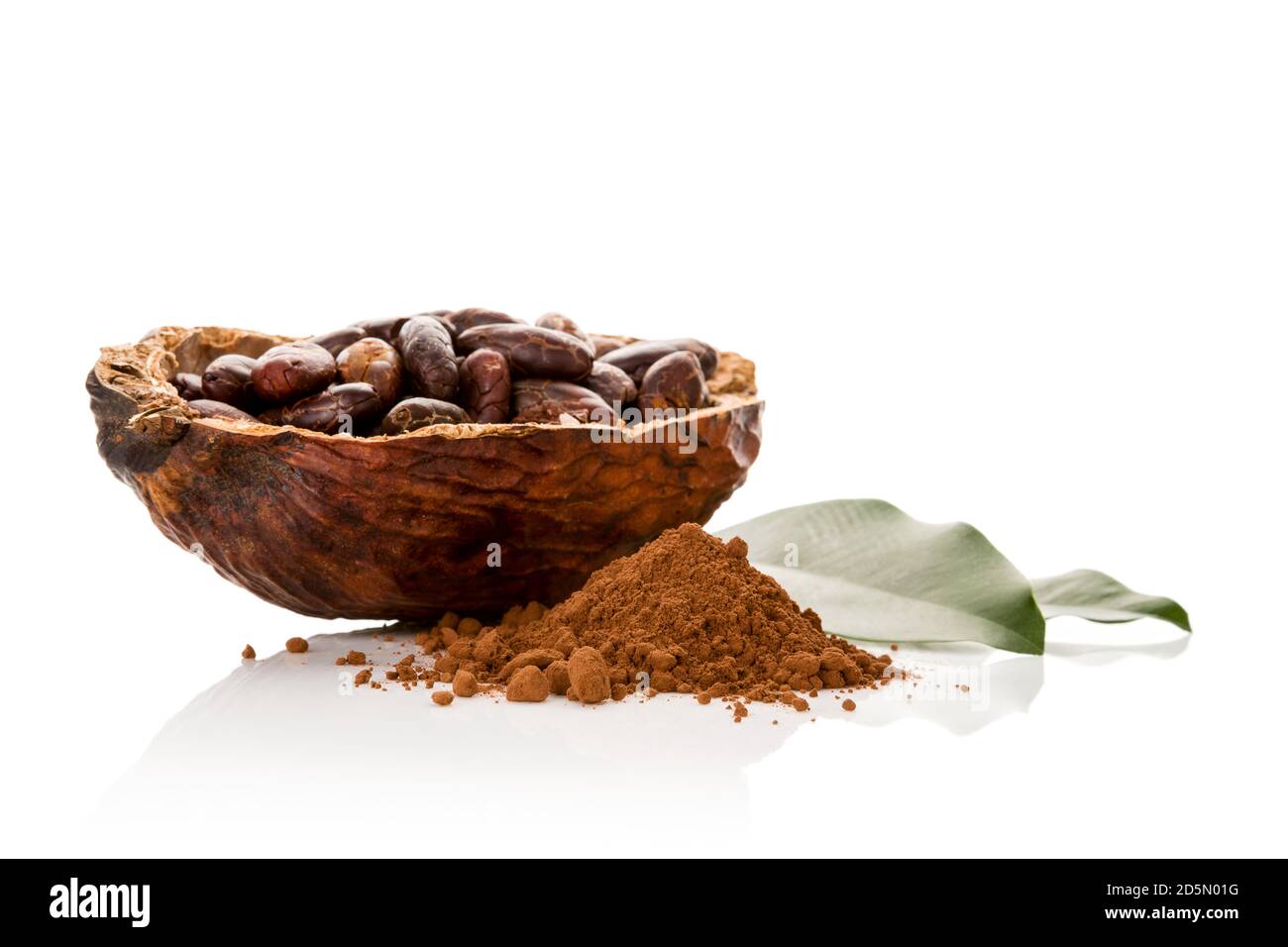 Fresh roasted cocoa beans in a cocoa pod with powder isolated on white ...