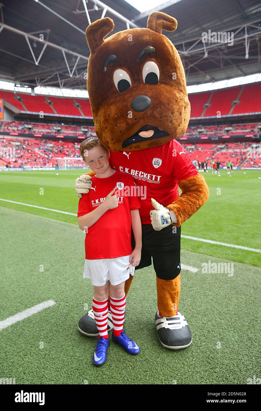 A young mascot with Barnsley Mascot Toby Tyke Stock Photo - Alamy