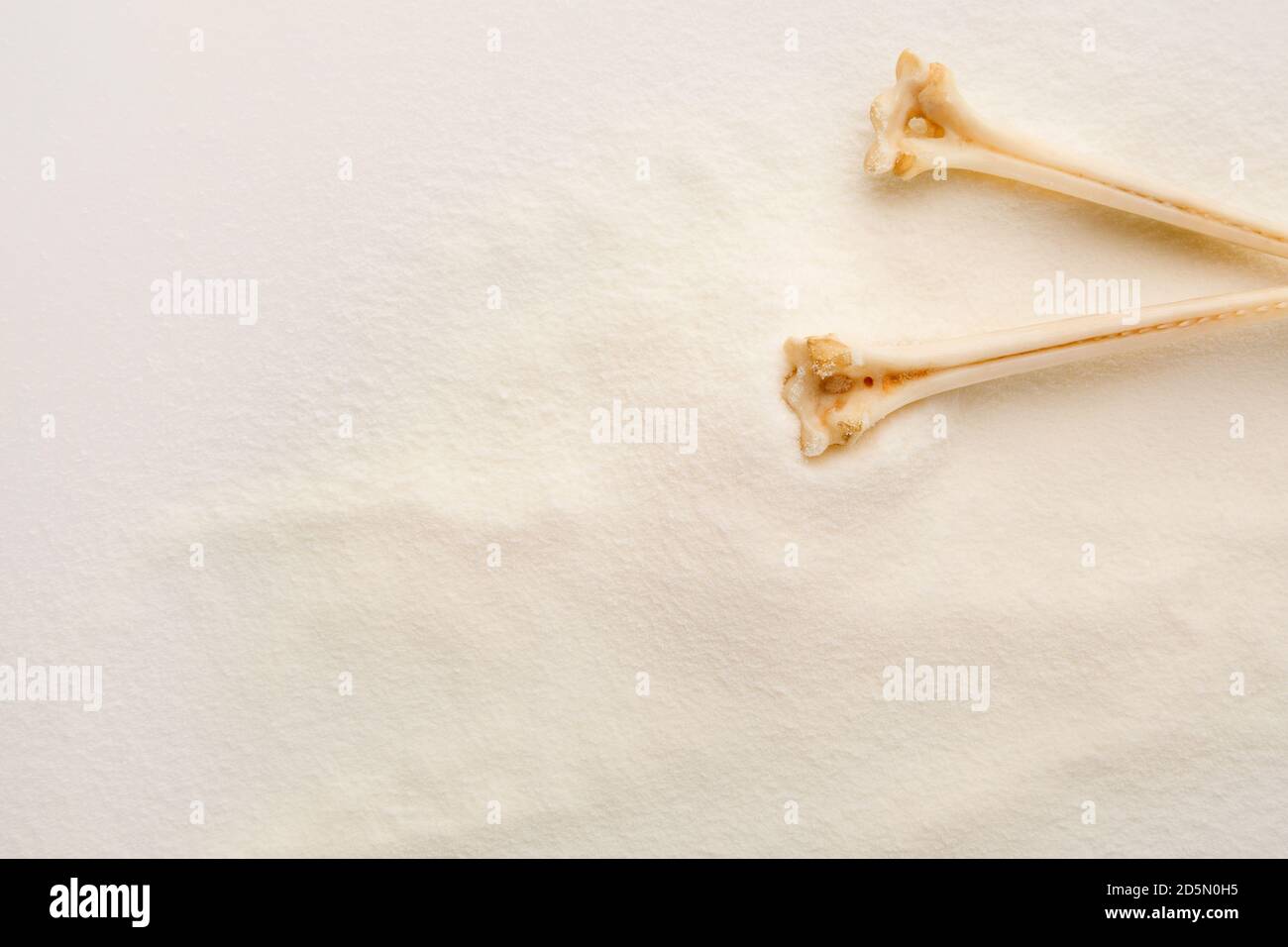 White Collagen powder background with bones. Natural beauty and health ...