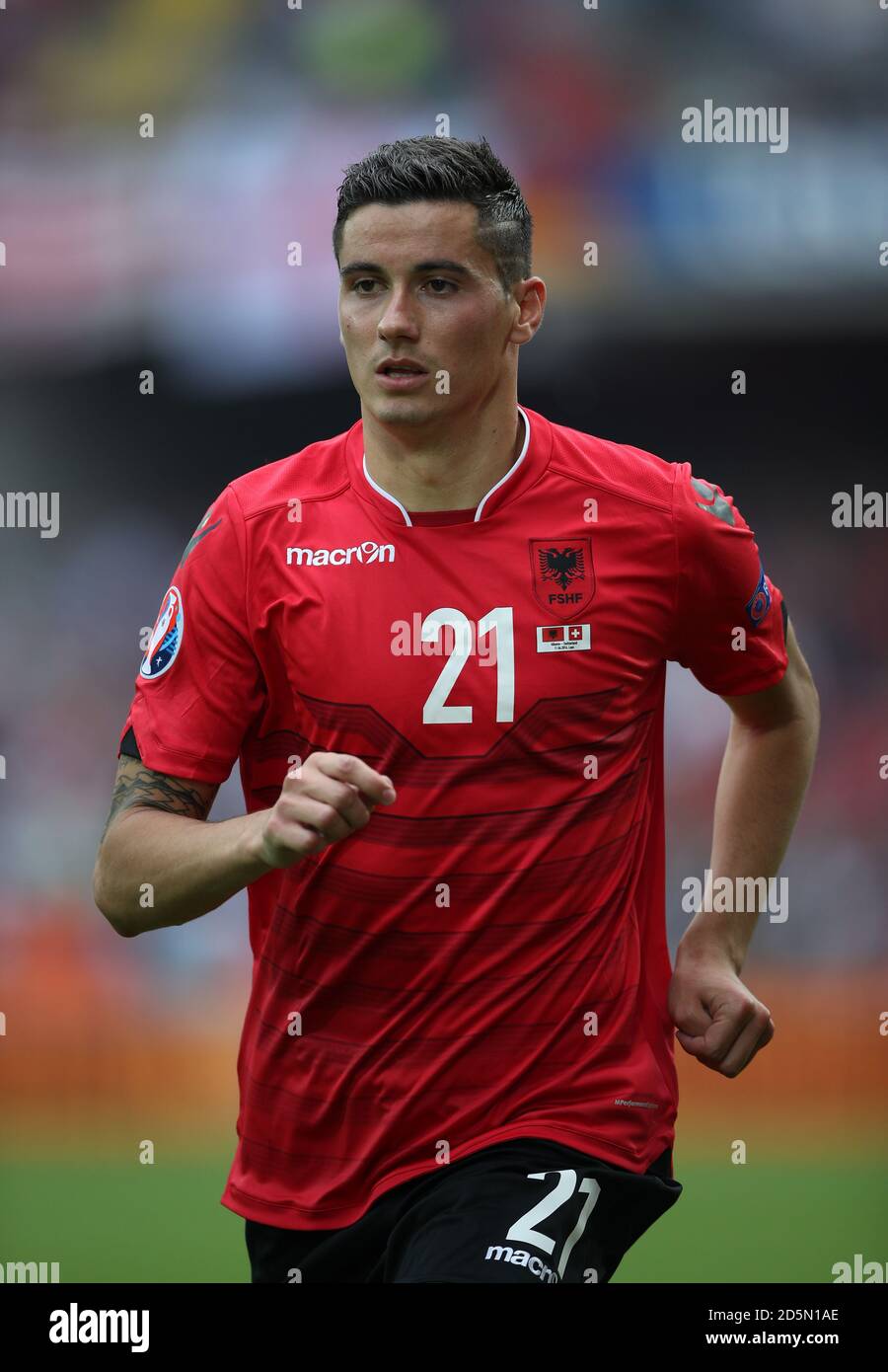 Albania's Odise Roshi Stock Photo - Alamy Albania's Odise Roshi Stock Photo - Alamy