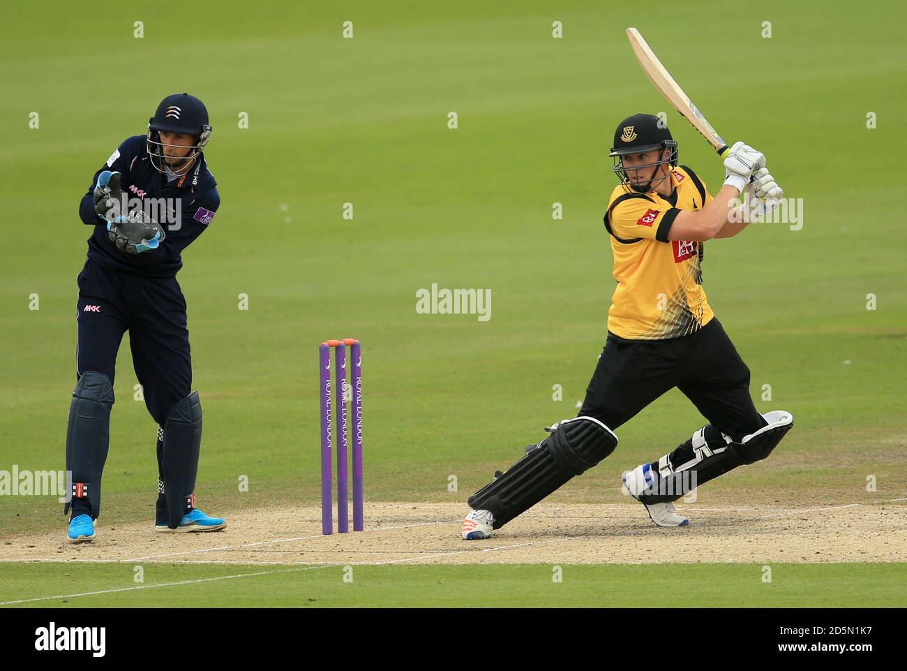Philip salt cricket hi-res stock photography and images - Alamy