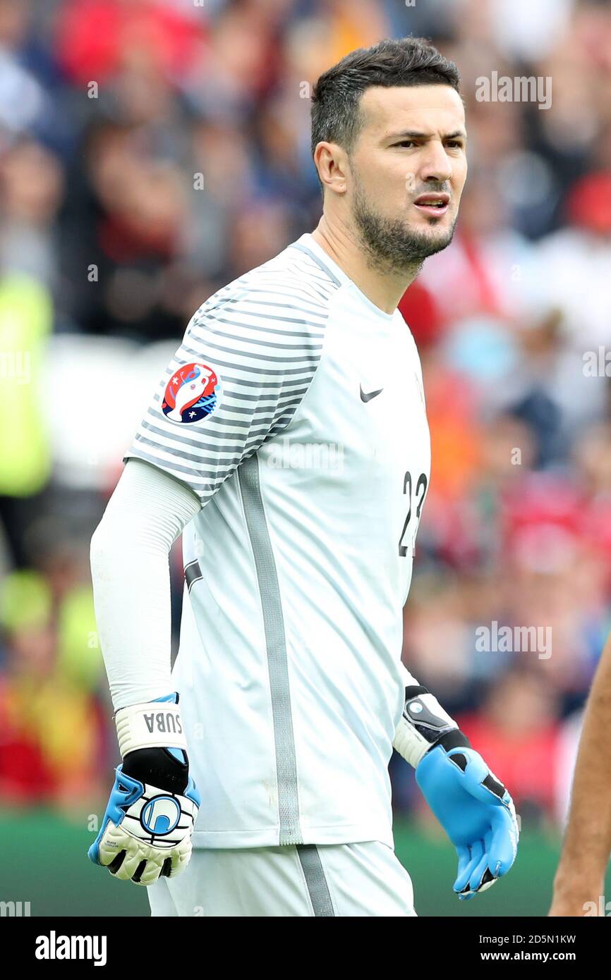 Croatia's Danijel Subasic Stock Photo - Alamy
