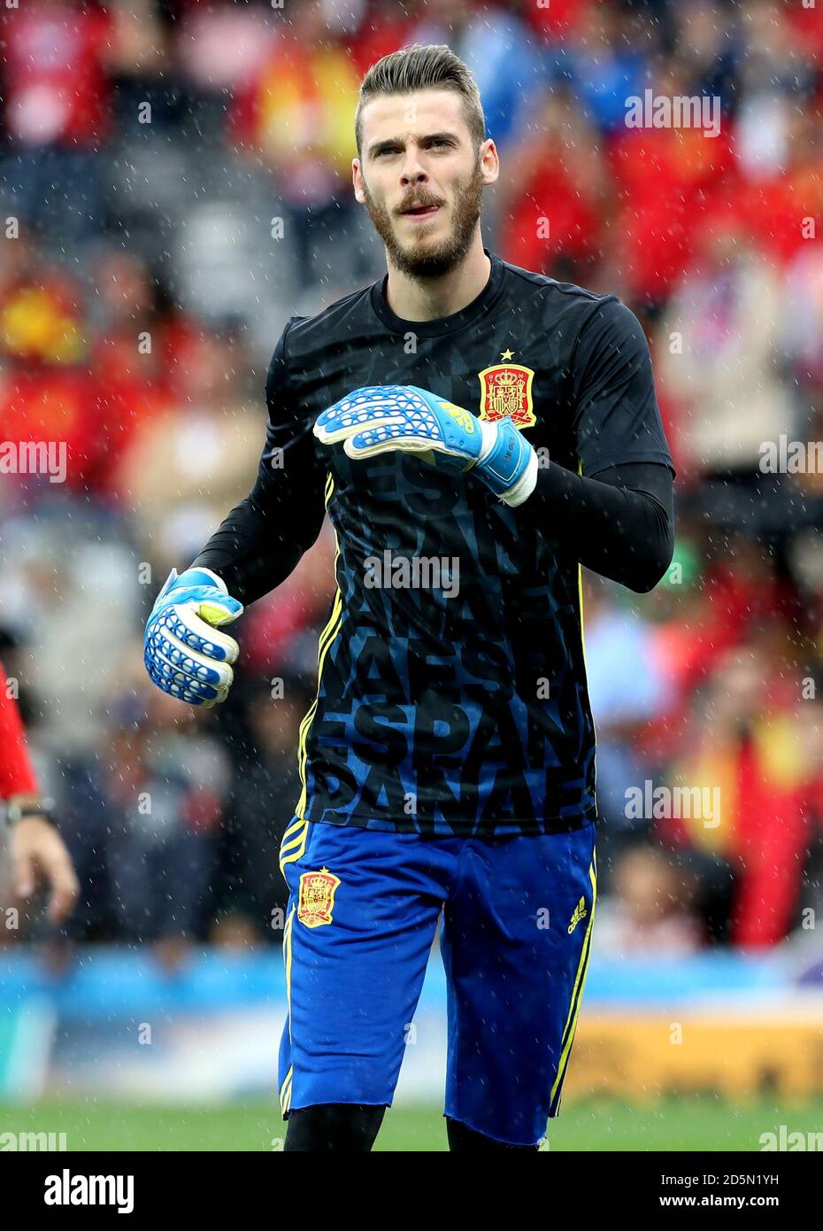 Spain goalkeeper David De Gea during the warm up Stock Photo - Alamy